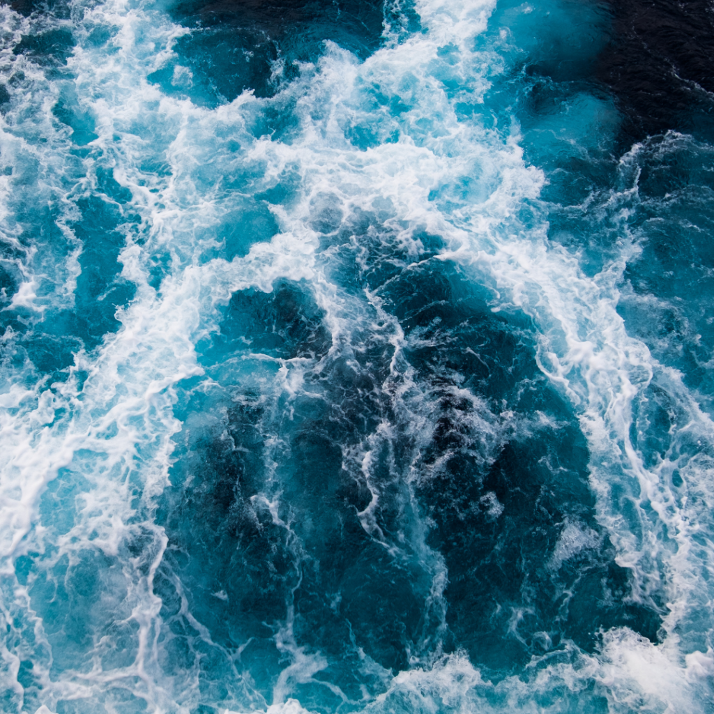 My Life with OCD and Social Anxiety Disorder | International OCD Foundation